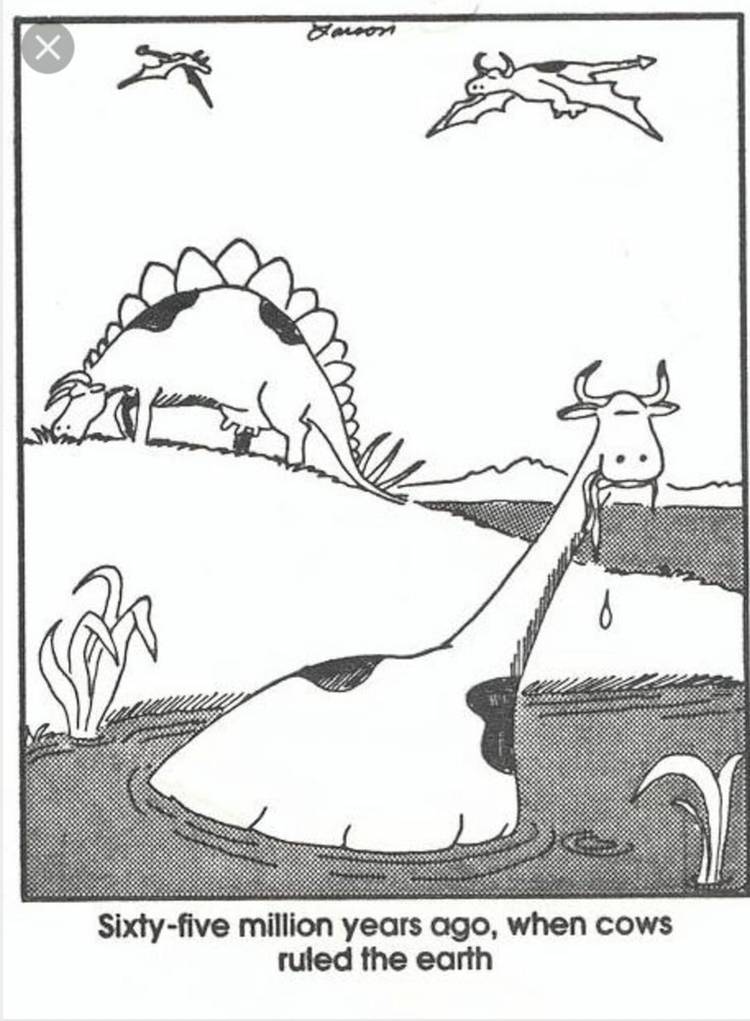 10 Most Surreal Far Side Comics About Dinosaurs