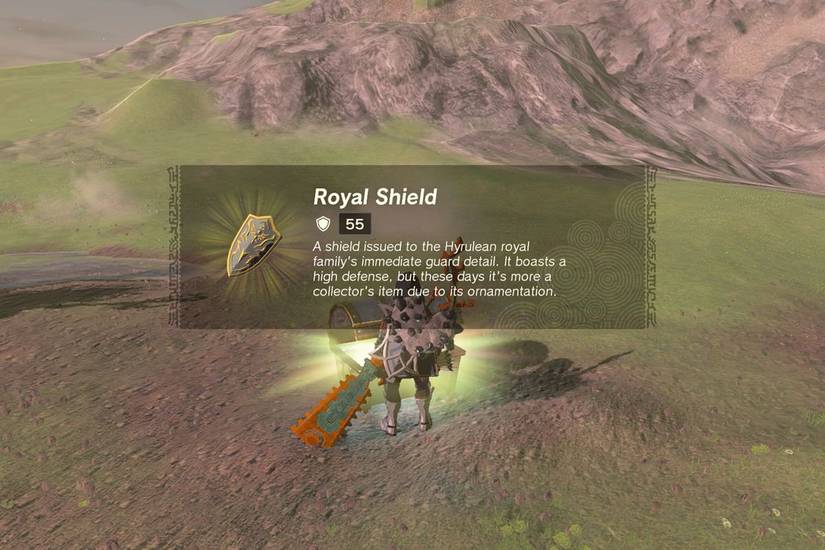 Zelda: Tears of the Kingdom - 10 Best Shields (& How To Get Them)
