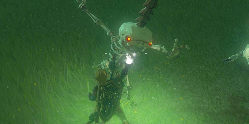 You’ve Probably Been Fighting Zelda: TOTK’s Skeleton Enemies Wrong