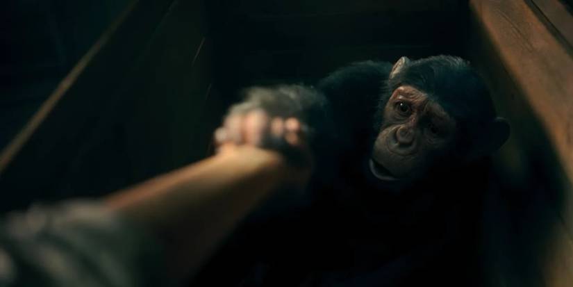 Netflix's Umbrella Academy Subtly Revealed Where Pogo's Name Came From ...