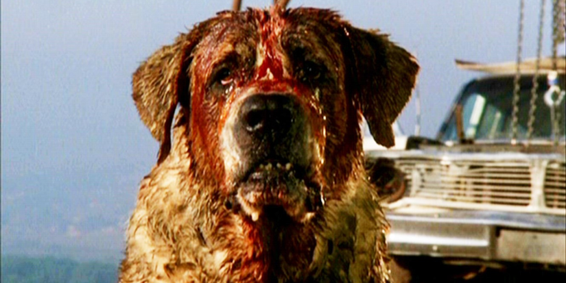 10 Scariest Stephen King Movie & TV Adaptations