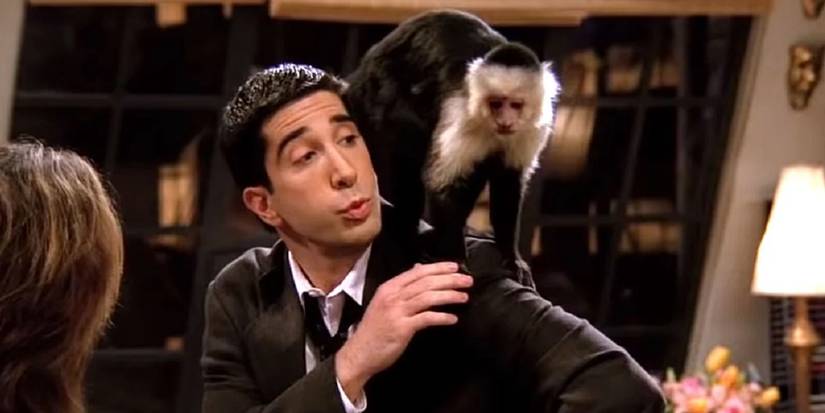 Friends: Zodiac Signs Of Every Major Character