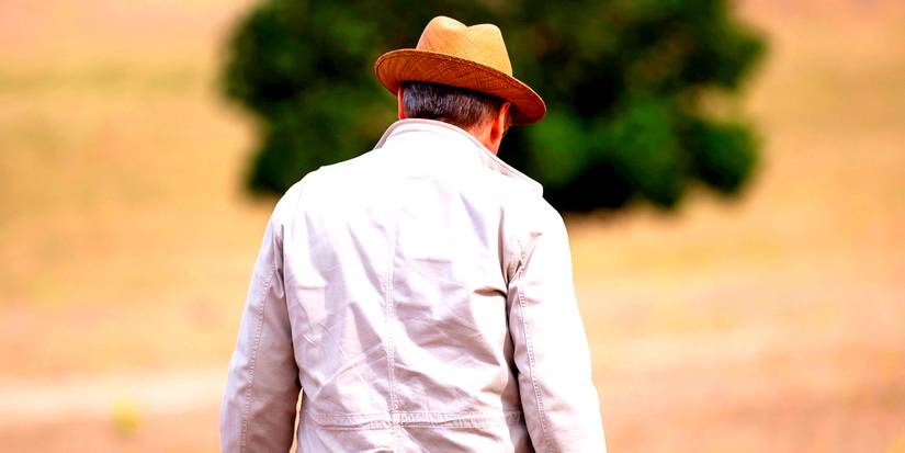 The Blacklist Ending Explained: What Happens To Red In The Series Finale