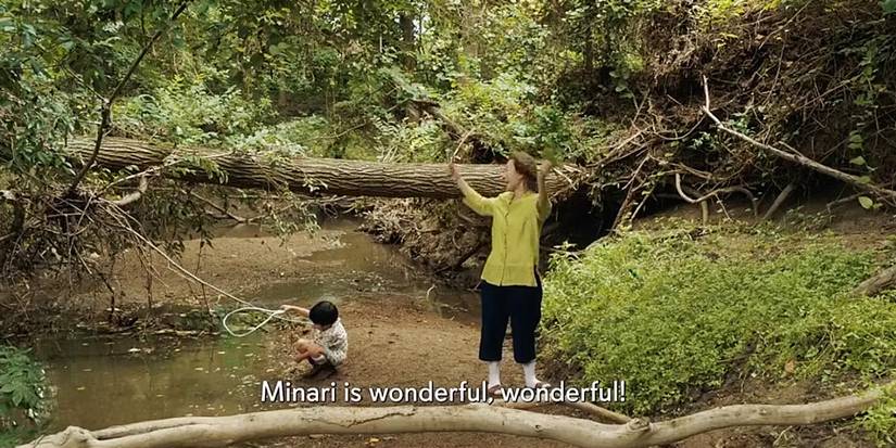 Minari Ending Explained - What Happened To The Grandma?