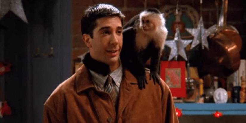The Monkey From Friends (& The David Schwimmer Controversy) Explained