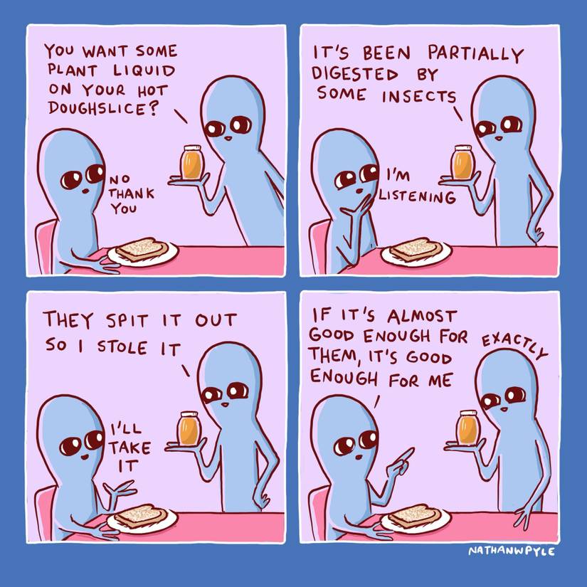 15 Funniest Strange Planet Comics About Food