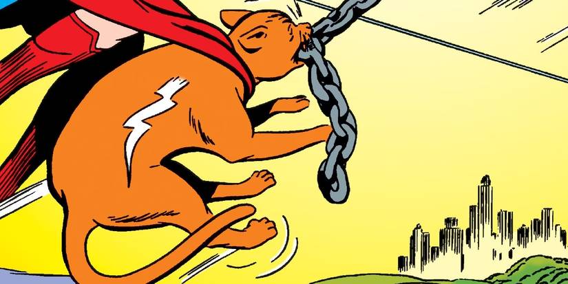 15 Most Powerful Animal Sidekicks in the DC Universe
