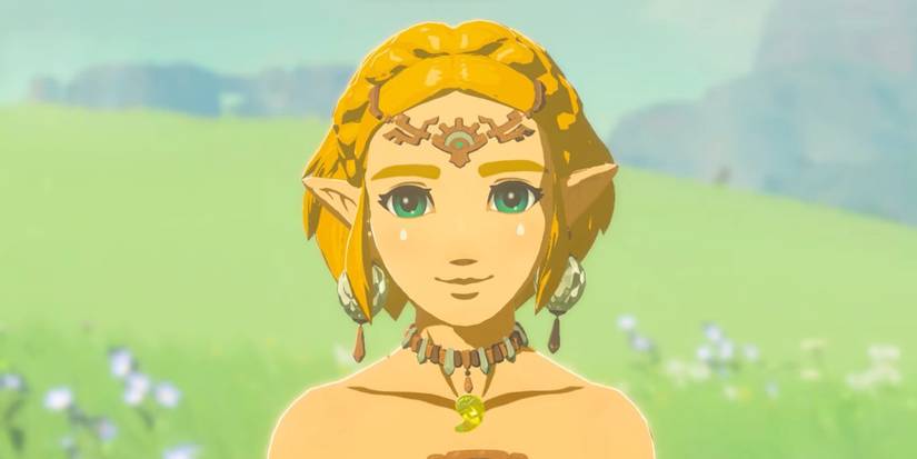 Zelda: BOTW & TOTK’s Silent Princess Flower Has A Heartwarming Meaning