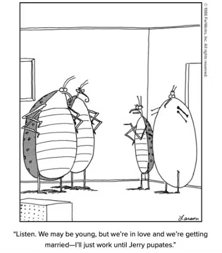 11 Funniest Far Side Comics with a Named Character