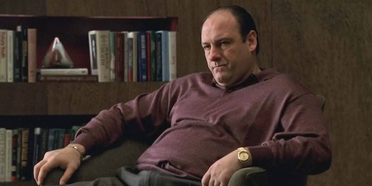 10 Best Shows on Netflix Like 'The Sopranos'
