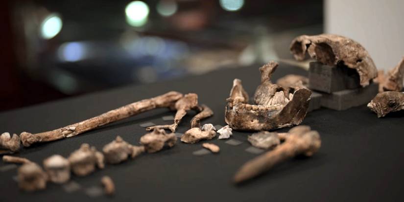 Unknown: Cave Of Bones – The Homo Naledi Species & Lee Berger's ...