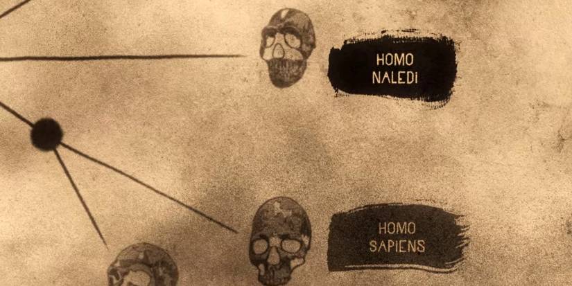 Unknown: Cave Of Bones – The Homo Naledi Species & Lee Berger's ...