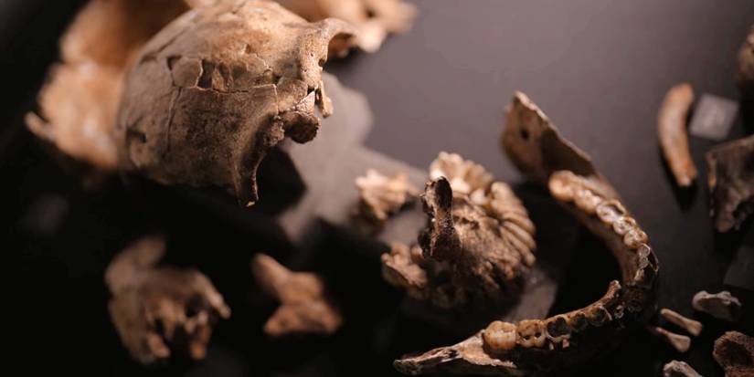 Unknown: Cave Of Bones – The Homo Naledi Species & Lee Berger's ...