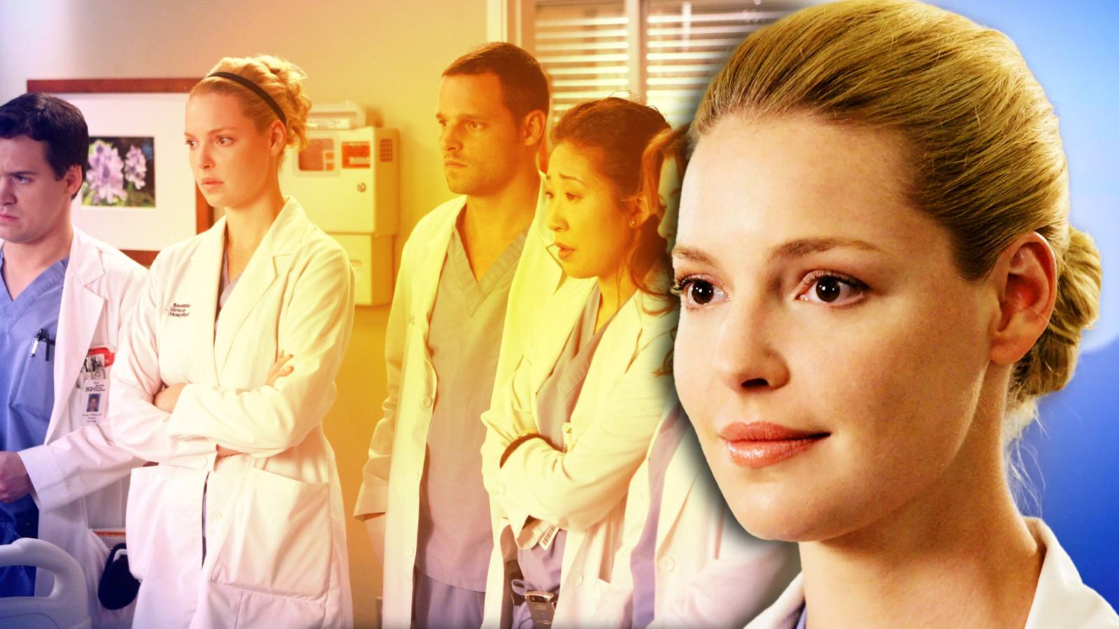 What Katherine Heigl Has Done Since Grey’s Anatomy