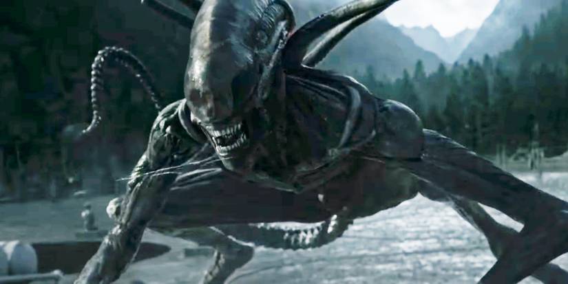 Alien's Box Office History Shows Why The Xenomorph Has Never Died For ...