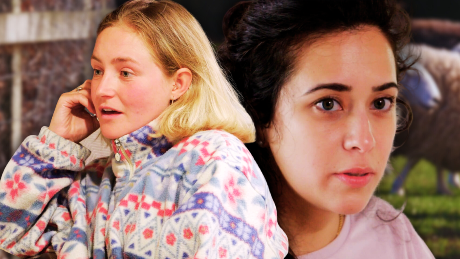 90 Day Fiancé: Statler & Dempsey’s Current Relationship Status Revealed ...