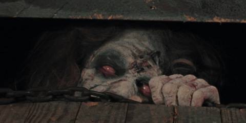 The Evil Dead (1981) Summary, Trailer, Cast, Where to Watch and More