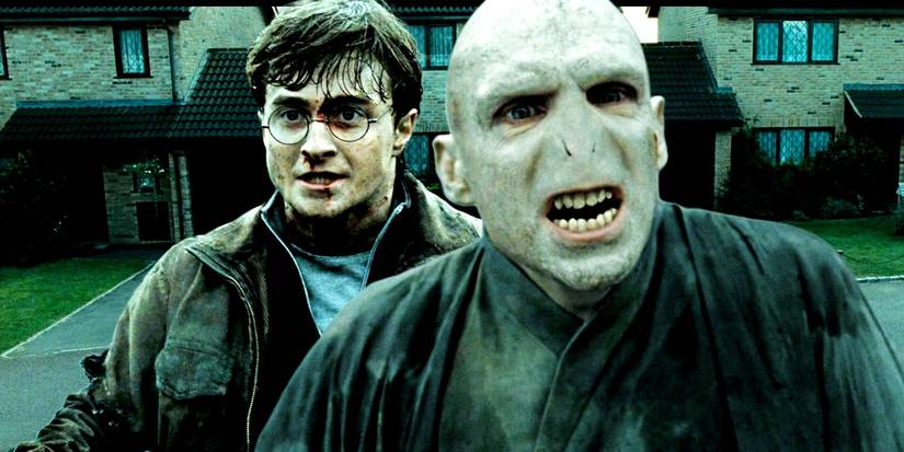 Why Only Lily Potter's Death Had Magical Properties (But All Other ...