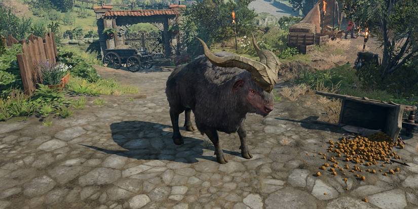 10 Coolest Druid Wild Shape Forms In Baldur's Gate 3, Ranked Worst To Best