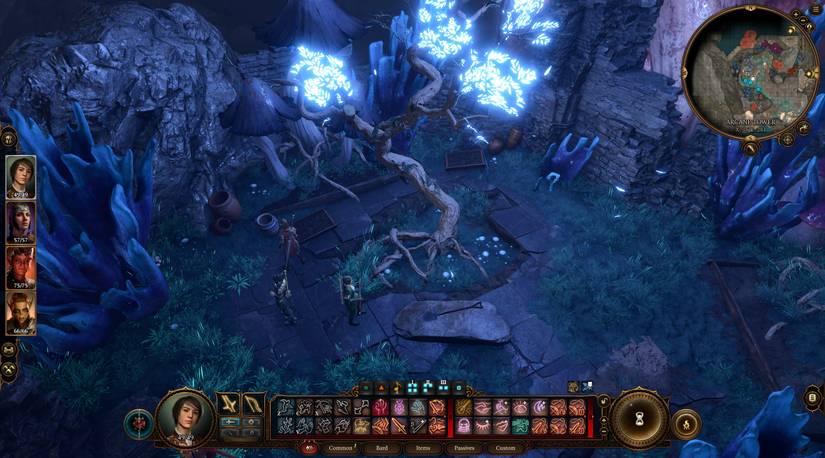 How To Get (& Use) Sussur Bloom In Baldur’s Gate 3