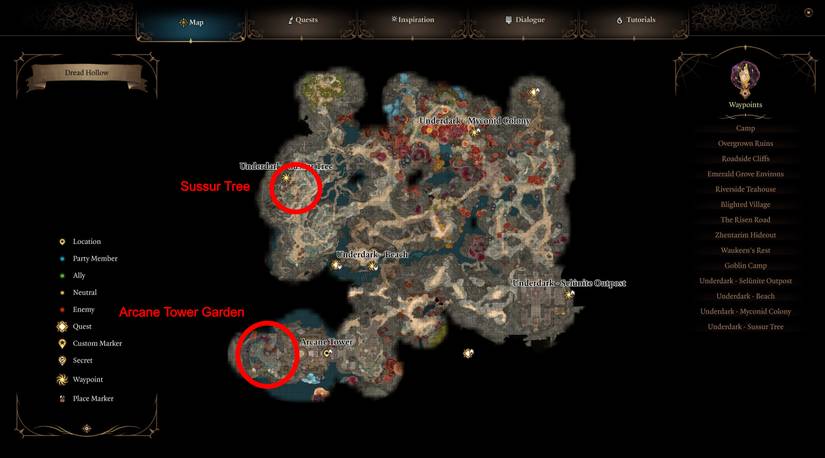 How To Get (& Use) Sussur Bloom In Baldur’s Gate 3