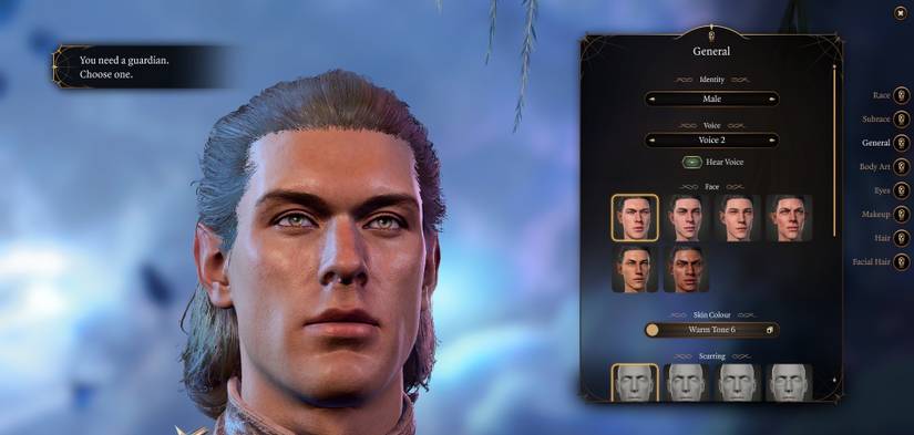 Baldur’s Gate 3: Do Any Guardian Choices Matter In Character Creation?