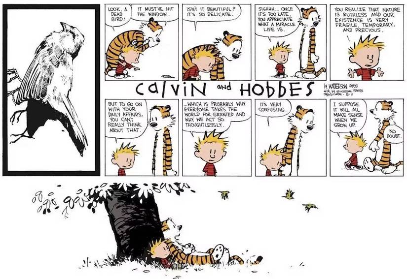 10 Calvin and Hobbes Comics That Showcase Bill Watterson's Incredible ...