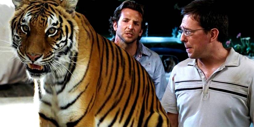 10 Harsh Realities Of Rewatching The Hangover Trilogy