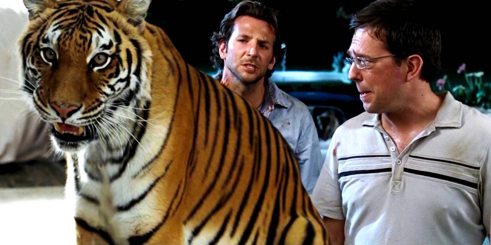 Big Cat Expert Doles Out Some Harsh Truths On The Hangover's Use Of Tigers
