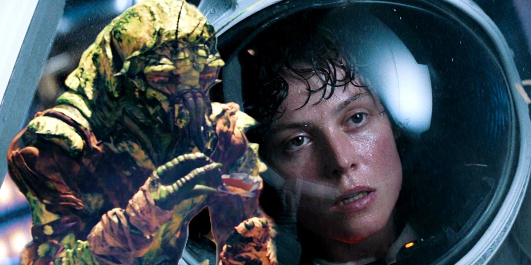 Neill Blomkamp Interview Cut Short After District 9 & Alien 5 Questions ...