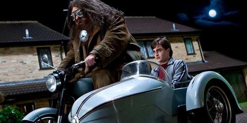 The Battle Of The Seven Potters: Why This Harry Potter Plan Actually ...