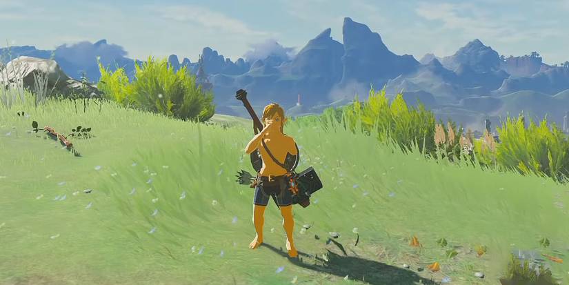 10 Awesome Glitches Zelda: TOTK Doesn’t Have From BOTW