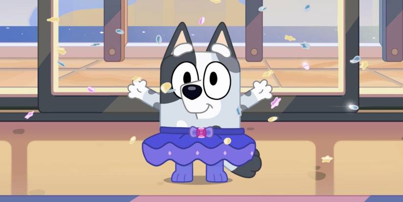 Is Bluey A Girl Or A Boy? Explained