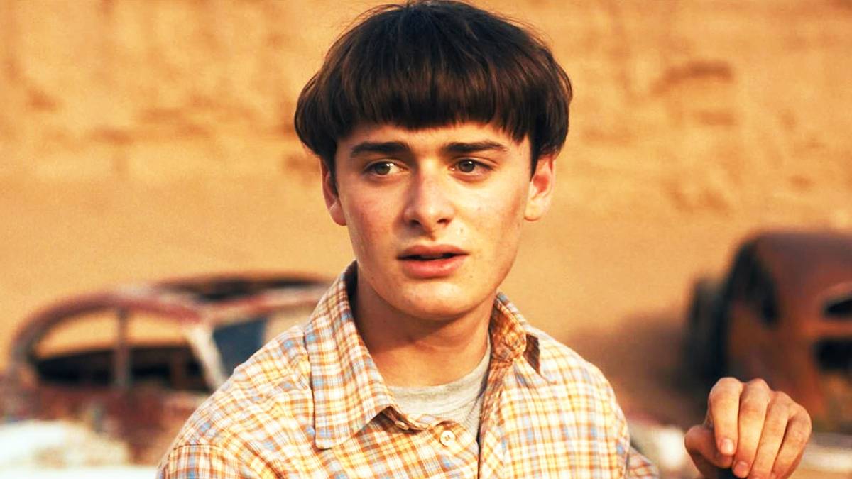 Stranger Things Season 5 Story Details Tease Will's Hero Journey That ...