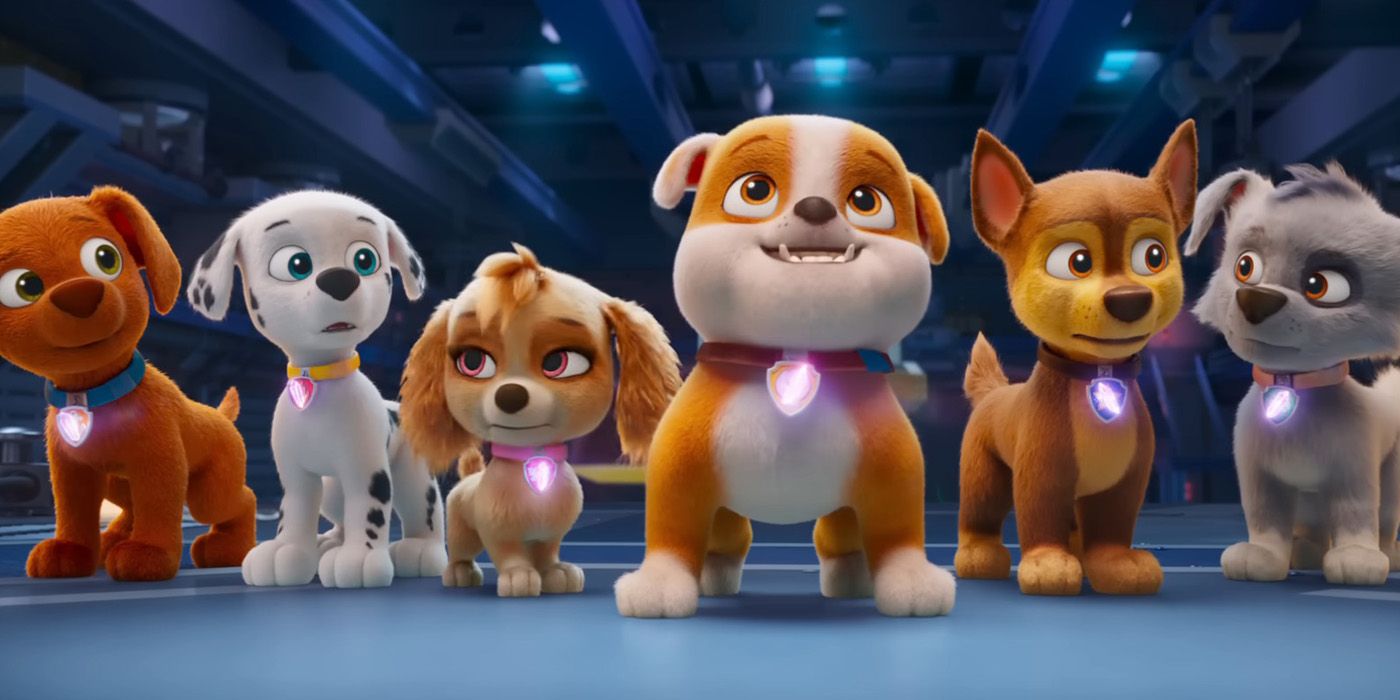 Paw Patrol Characters Names And Breeds - Infoupdate.org