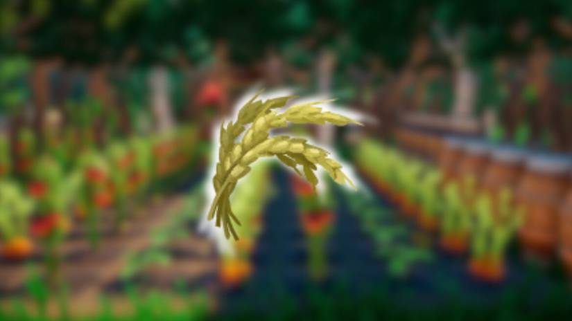 7 Best Crops To Grow In Palia