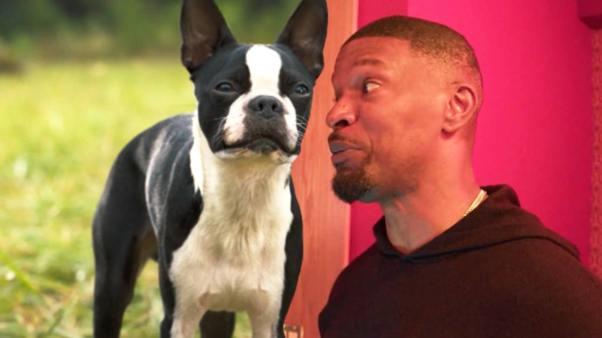 Jamie Foxx & Will Ferrell Get Vulgar AF Recording Strays Dialogue In ...