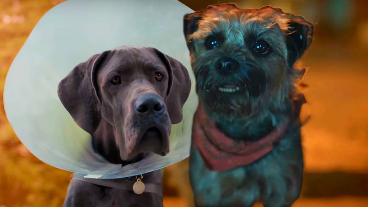 Strays Opening Weekend Box Office Continues A Disappointing Trend For R ...