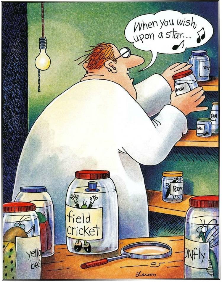 10 Funniest Far Side Comics That Reference Classic Cartoons