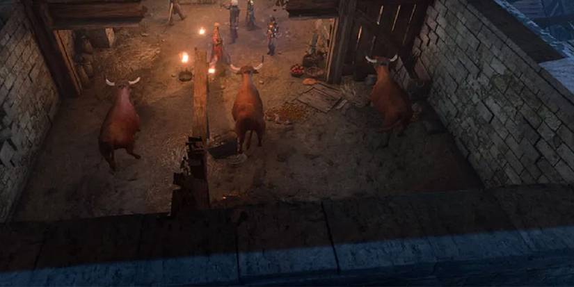 Baldur’s Gate 3: Does The Strange Ox Come Back After Emerald Grove?