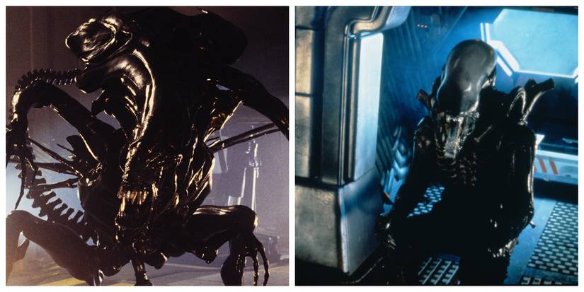 Alien: Romulus' New Xenomorph Design Differs From Aliens In One Key Way ...