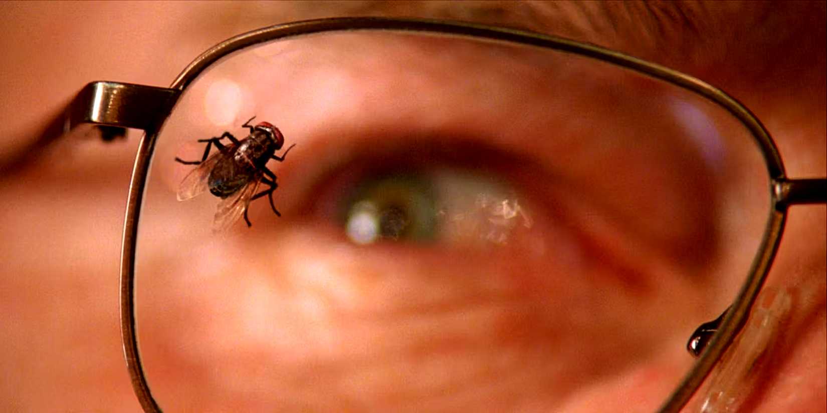 10 Best "Filler" Episodes That Show What We Lost Because Of Streaming