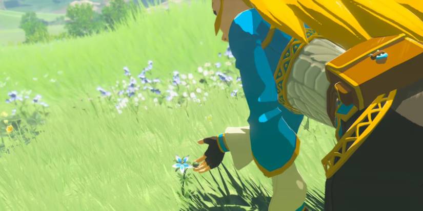 Zelda: BOTW & TOTK’s Silent Princess Flower Has A Heartwarming Meaning