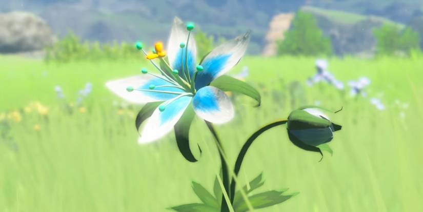 After Nearly 8 Years, Breath Of The Wild Still Has The Best Version Of ...