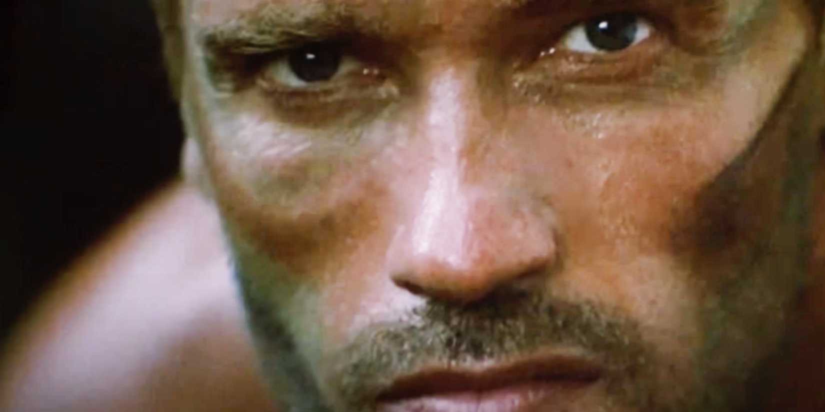 This Mind-Blowing Predator Theory Totally Changes How I See Arnold ...
