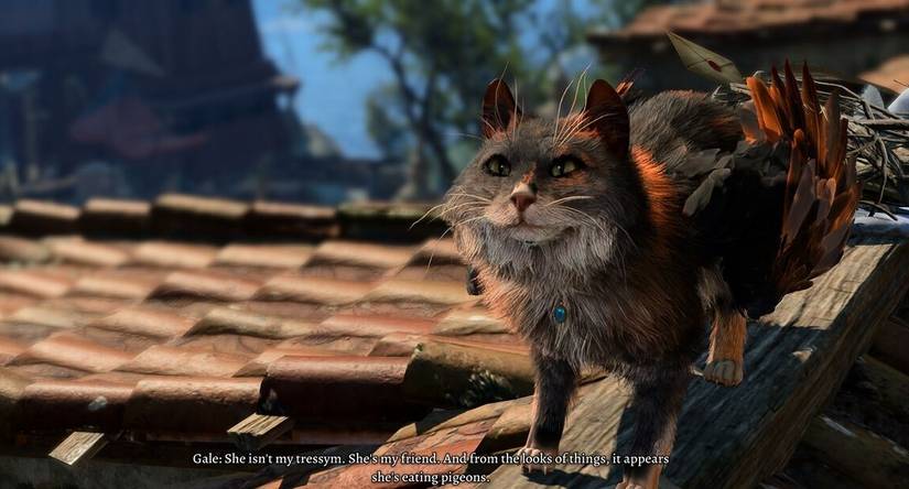 Every Cat In Baldur’s Gate 3, Ranked By Personality