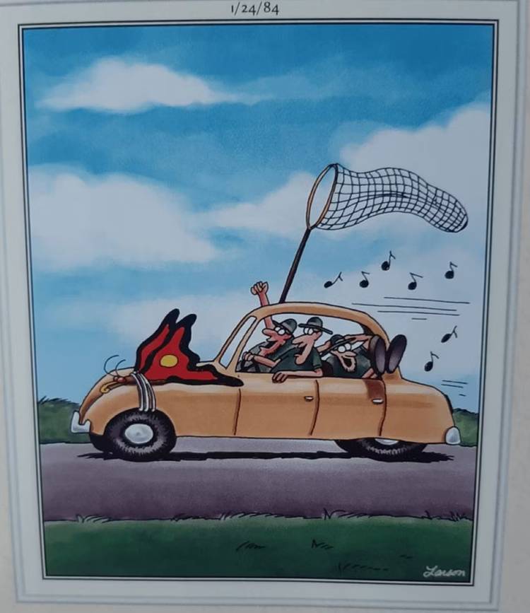 15 Darkest Far Side Comics That Don't Use Any Words