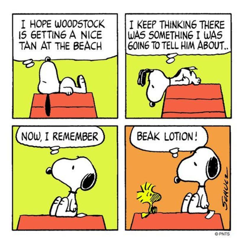 Peanuts: 15 Most Heartwarming Snoopy & Woodstock Best Friend Moments