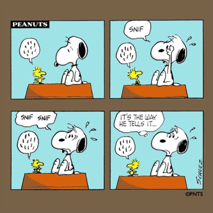 Peanuts: 15 Most Heartwarming Snoopy & Woodstock Best Friend Moments