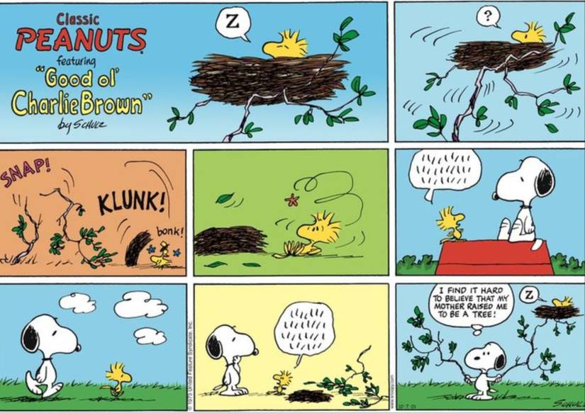 Peanuts: 15 Most Heartwarming Snoopy & Woodstock Best Friend Moments